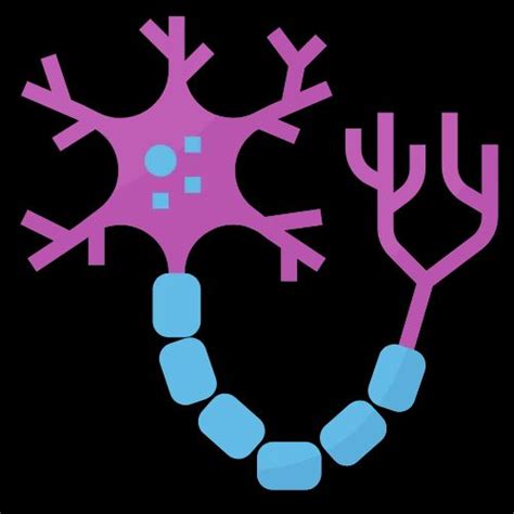 Nerve Conduction Velocity Ncv Test Services In Lucknow Id 2849761114688