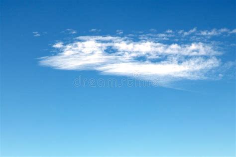 A Small White Cloud Against A Blue Sky Stock Image Image Of Mammal