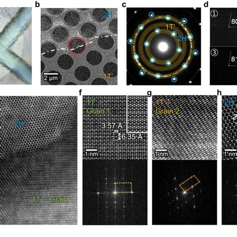 Transmission Electron Microscopy Tem Analysis Of The Abnormal Grain Download Scientific