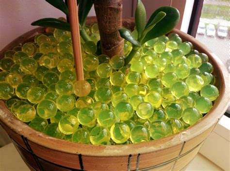 Как сделать автополив для комнатных растений своими руками? – 6 простых ...