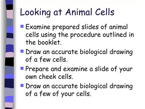 Introduction To Cells PPT