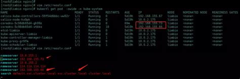 采坑指南——k8s域名解析coredns问题排查过程 知乎