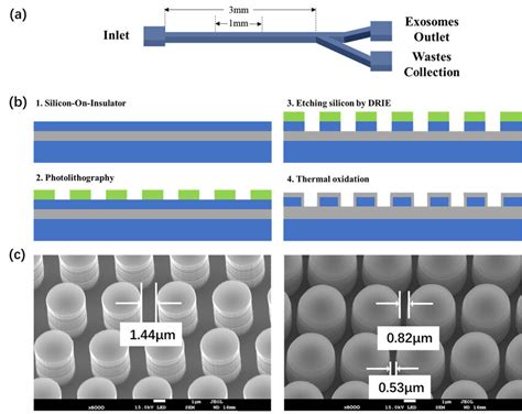 A Schematic Of The Dld Exosome Separation Chip B The Fabrication