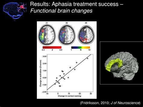 Ppt Inducing And Measuring Brain Plasticity Associated With Aphasia