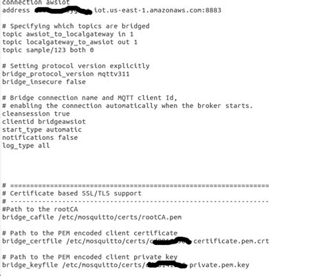alexa skills kit socket error while connecting a bridge between aws