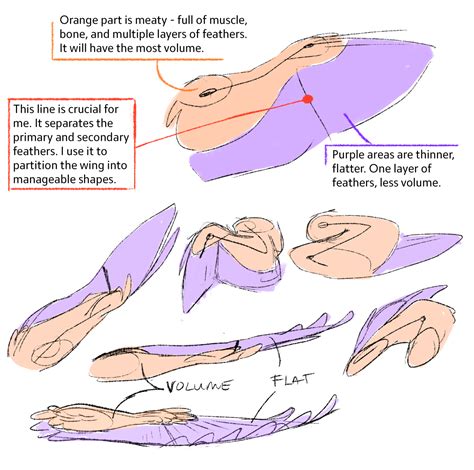 Lets Draw Wings Sky Cowbabes