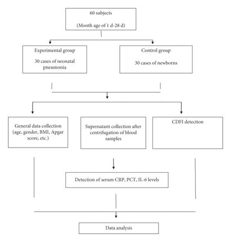 Research Flow Diagram Download Scientific Diagram