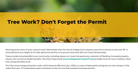 Tree Permits Municipal Scene August