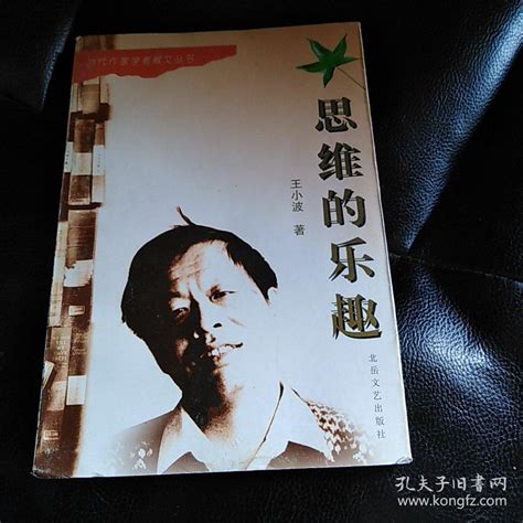 思维的乐趣王小波孔夫子旧书网