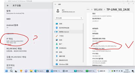 The Wsa Is Already Not Support The Ipv Connections When The WSA Is Supporting The Ipv