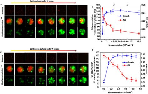 On Chip In Situ Profiling Of The N Stressor Triggered Cell Growth And Download Scientific