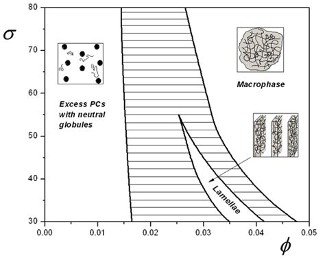 σ − φ Phase Diagram Of The Solution Of Oppositely Charged Download Scientific Diagram