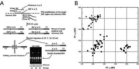 Summary Of The Has Genotyping Technology A And Scatter Plots For