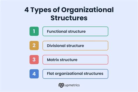How To Create An Organizational Structure A Complete Guide