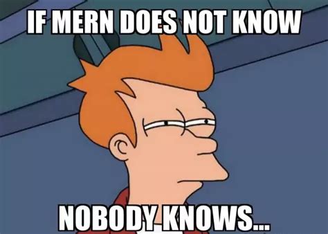 hire mern stack developers to build a top notch web app procoders