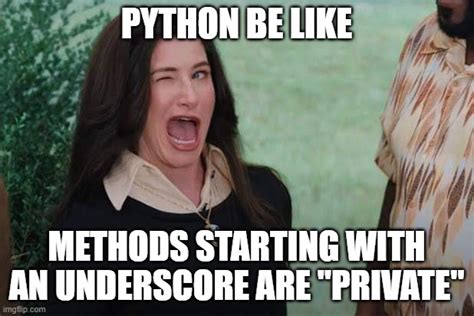 Python Be Like R Programmerhumor