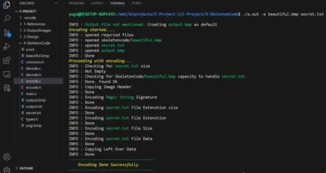 Cprogramming Linux Steganography Cybersecurity Imageprocessing Yogesh K