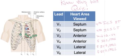 Nrsg 331 Lecture Exam 1 Summer 2023 Flashcards Quizlet