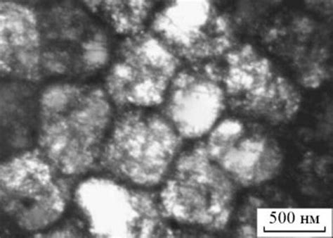 Microstructure Of Austenitic Alloy After Selective Laser Melting Download Scientific Diagram