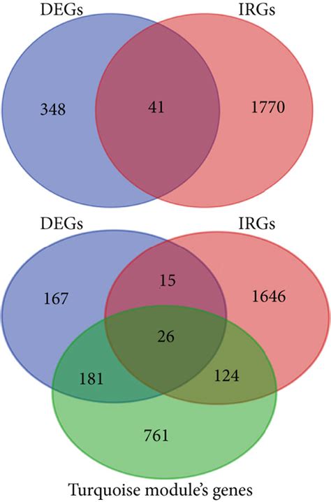 Identification Of De Irgs And Functional Enrichment Analyses A The Download Scientific