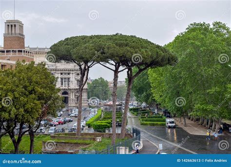 Italian Stone Pine Landscape Rome Italy Stock Image Image Of