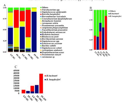 Microbial Profiling At A Species Level In Unfed And Partially Fed