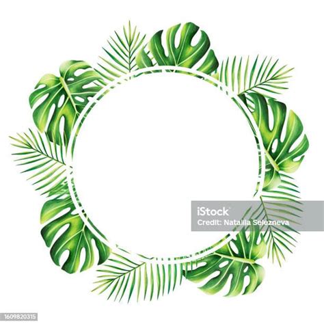 수채화 프레임과 로고는 흰색 배경에 분리된 몬스테라와 손바닥의 사실적인 열대 삽화가 있습니다 아름 다운 식물 손으로 그린 꽃
