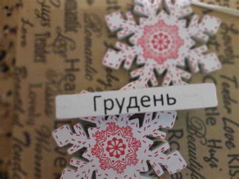 Дари Всесвіту астрологи назвали три знаки зодіаку на яких чекає щастя в грудні Hot News