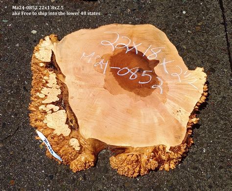 Maple Burl Slab Cookie Cut Craft Woods Diy River Table Ma24