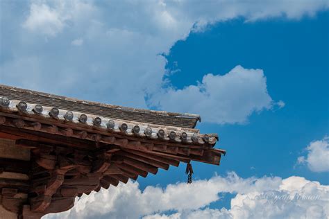 最古老的木结构建筑，南禅寺 南禅寺大殿 建筑 五台山 唐代 简约 新浪新闻