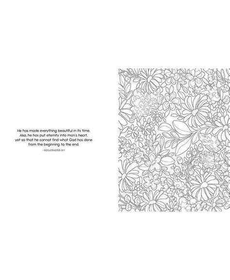 Barnes And Noble Scriptures And Florals Coloring Book By Allison Loveall