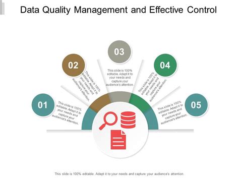 Data Quality Management And Effective Control Ppt PowerPoint Presentation Icon Samples
