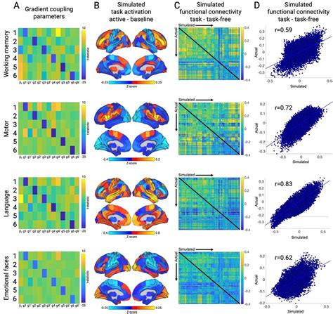Task Specific Simulated Activity And Connectivity Patterns A Gradient