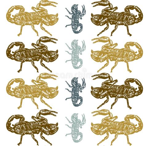 Seamless Pattern Of Scorpion Stock Vector Illustration Of Insect