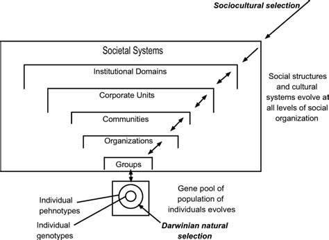 Layers And Levels Of Selection And Evolution In The Sociocultural Download Scientific Diagram
