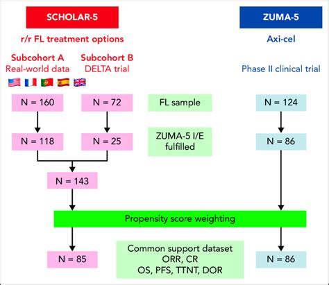 Flow Diagram Of Patient Enrolment Selection And Analysis Of Scholar 5 Download Scientific
