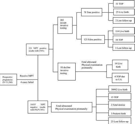 Flowchart Of Nipt Plus Results And Clinical Outcome Of Pregnant Women