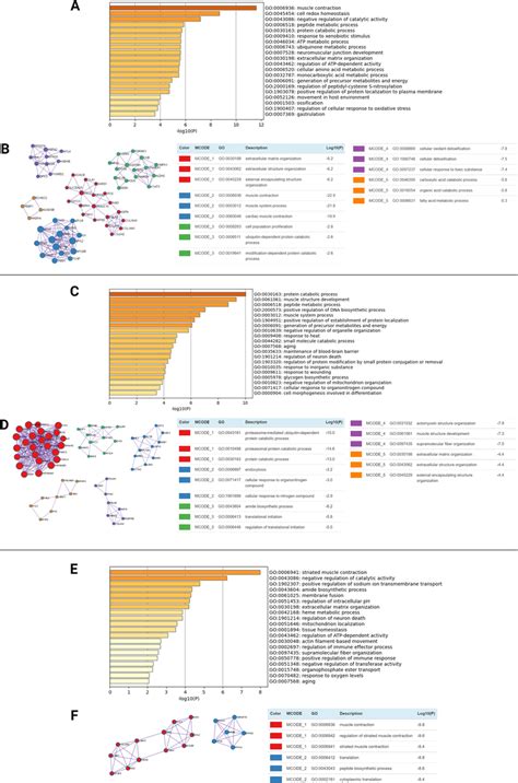 Enrichment Gene Ontology Analysis And Mcode Networks Based On The Download Scientific Diagram