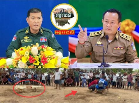 សង្វៀនល្បែងជល់មាន់ និងអាប៉ោង ខុសច្បាប់ មួយកន្លែងក្នុង ឃុំពងទឹក ស្រុកដំណាក់ចង្អើរ