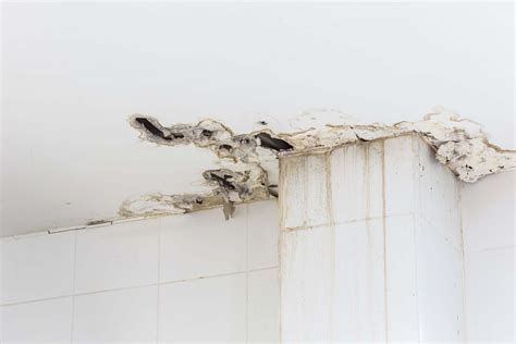 How To Temporarily Stop A Leaking Ceiling Shelly Lighting