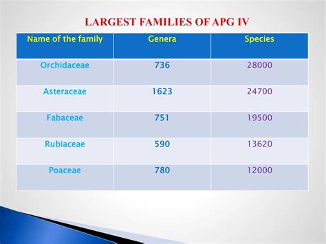 Angiosperms Phylogeny Group Iv System Of Classificationpdf