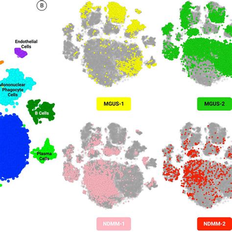 Bone Marrow Tumor Microenvironment Landscape Across Mm Stages Download Scientific Diagram