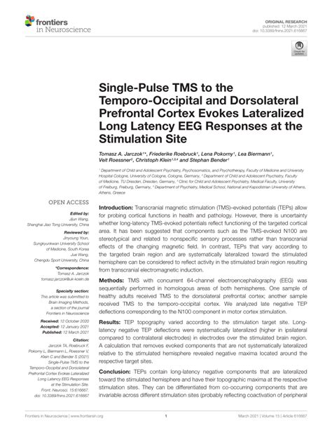 PDF Single Pulse TMS To The Temporo Occipital And Dorsolateral Prefrontal Cortex Evokes