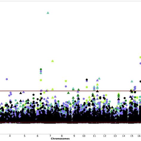 C Discovery Analysis Manhattan Plot For Pulse Pressure Download