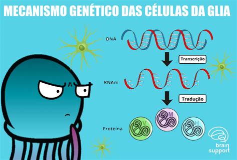 Mecanismos Genéticos Envolvidos Na Atividade De Células Da Glia