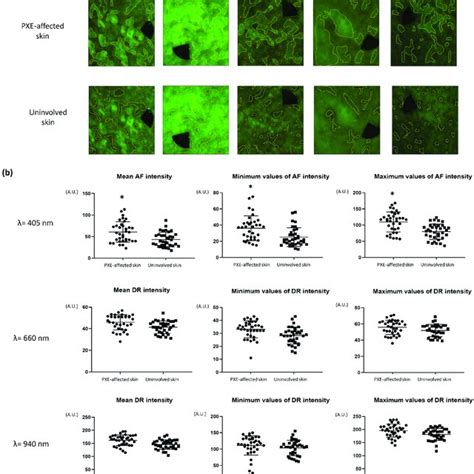 Regions Of Interest Roi Selection And Results Of Quantitative Download Scientific Diagram