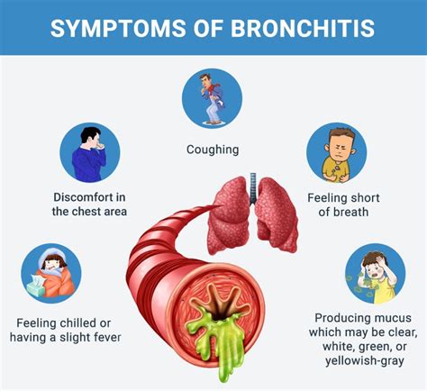 Bronchitis Know Its Types Causes Symptoms Treatments