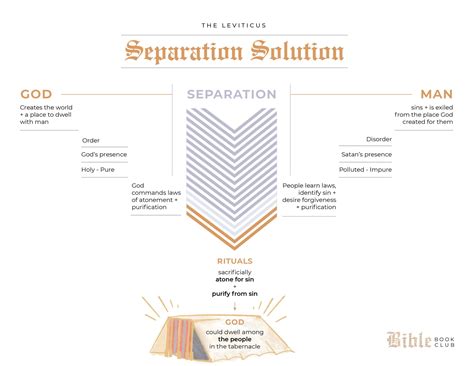 The Separation Solution Susan Merrill