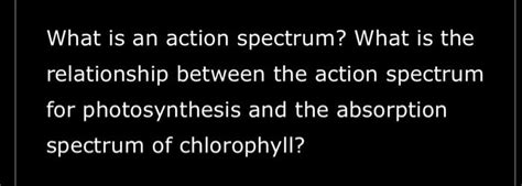 What Is An Action Spectrum What Is The Relationship Between The Action Spectrum For