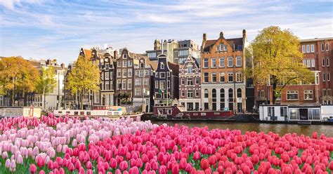 Tulip Garden In Amsterdam Fasci Garden